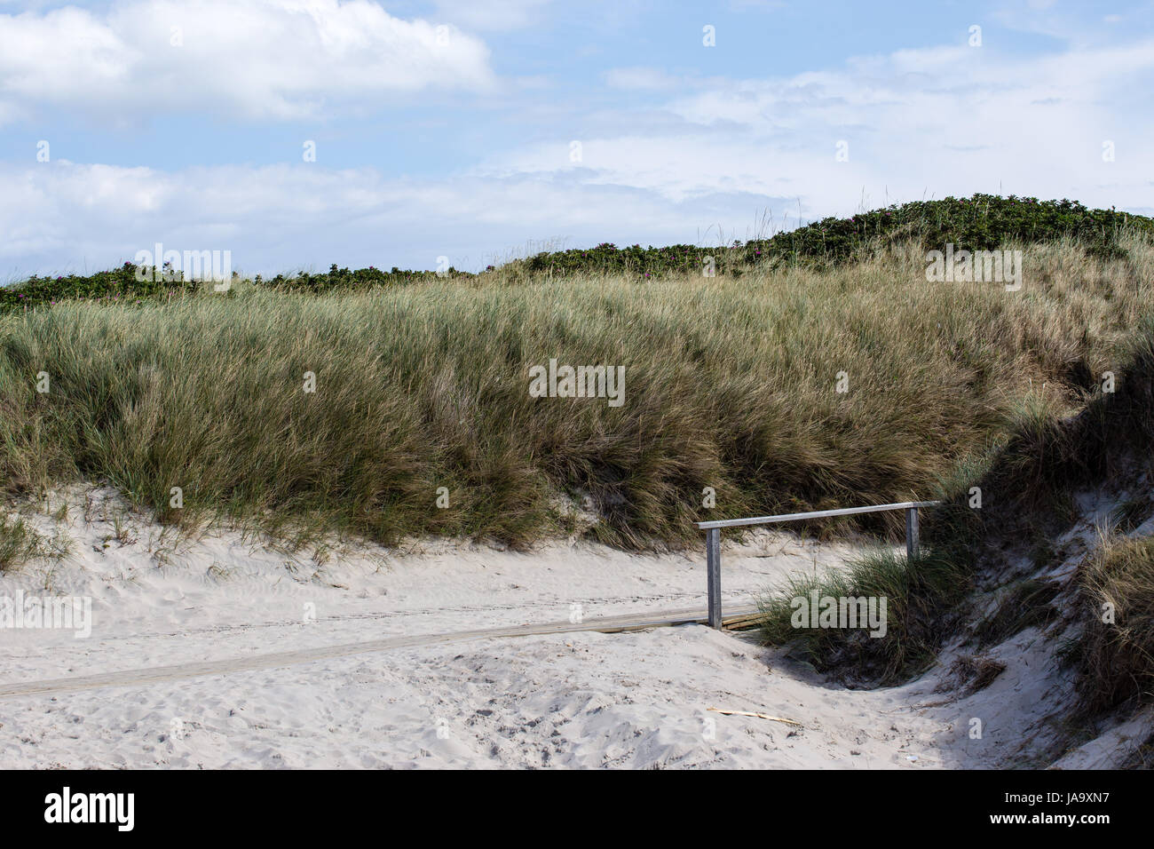 dune, sylt, North Sea island, beach, seaside, the beach, seashore ...