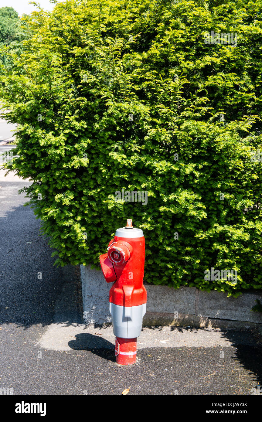 fireplug, firefighting, water for firefighting, tree, france, fire ...