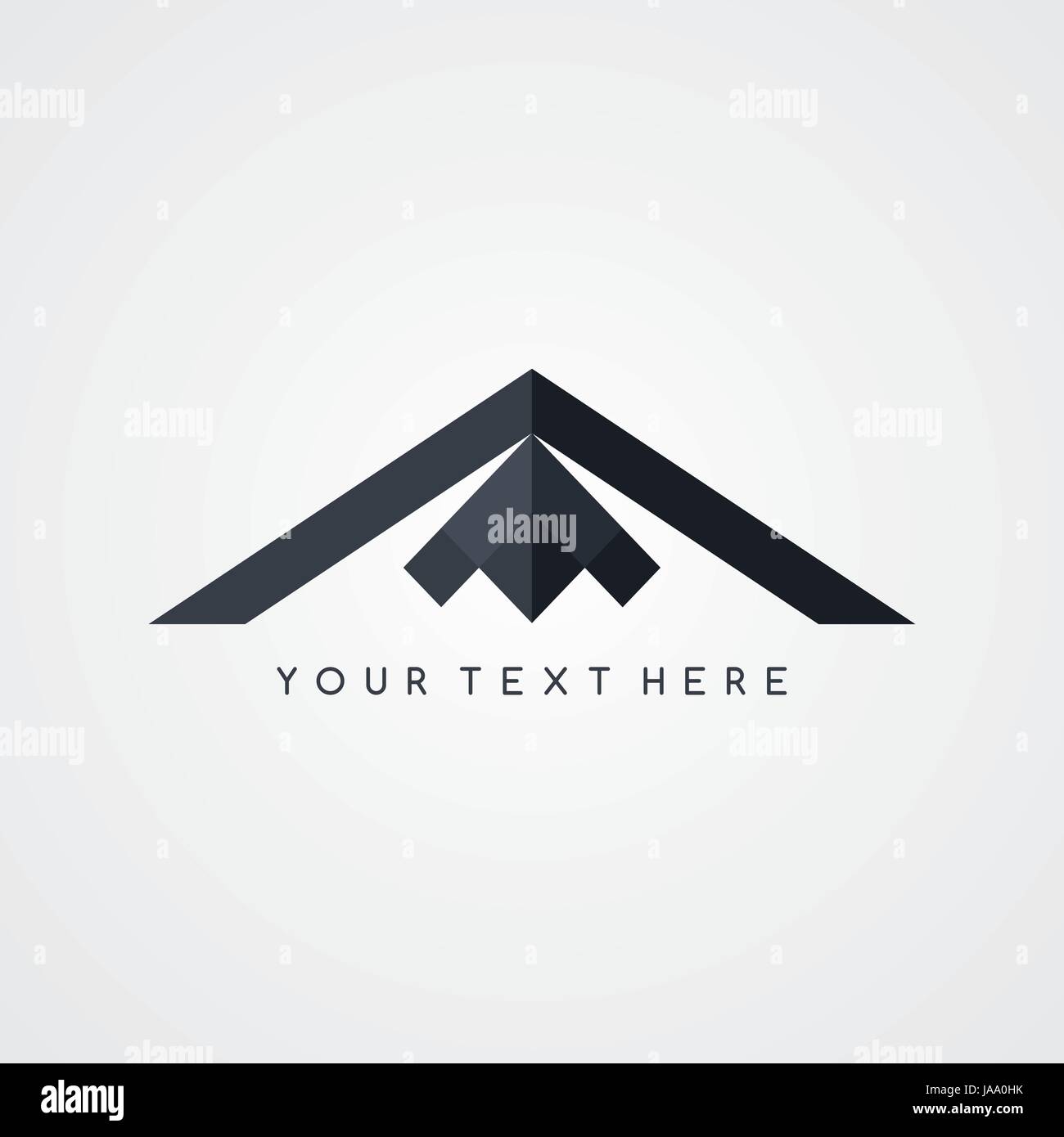 Stealth bomber vector hi-res stock photography and images - Alamy