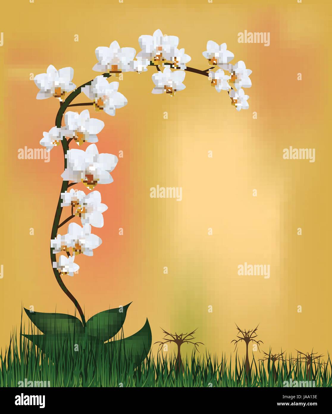 Blooming orchid plant in Stock Vector Images - Alamy