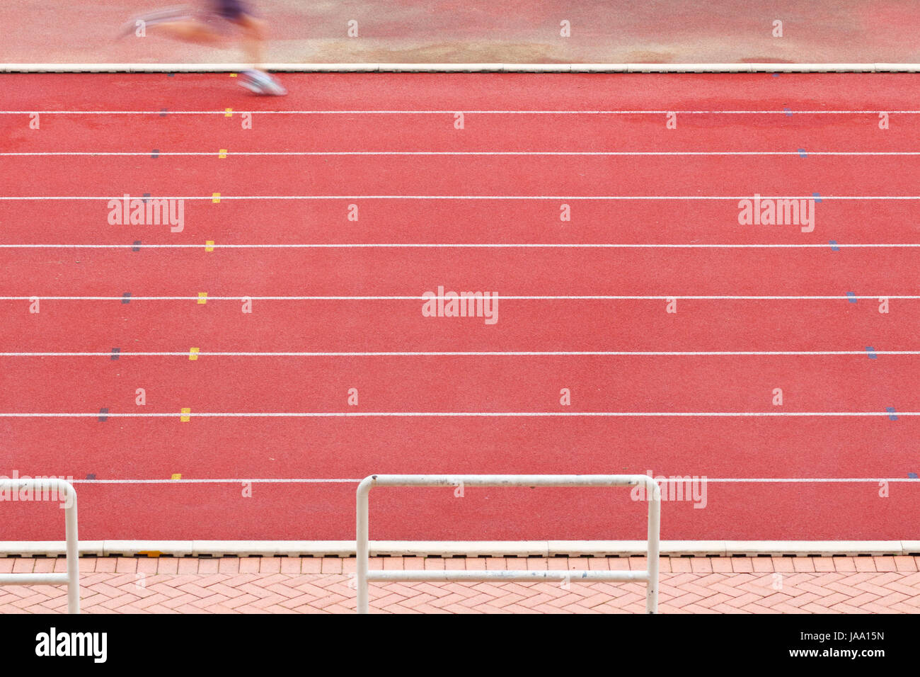 humans, human beings, people, folk, persons, human, human being, sport ...