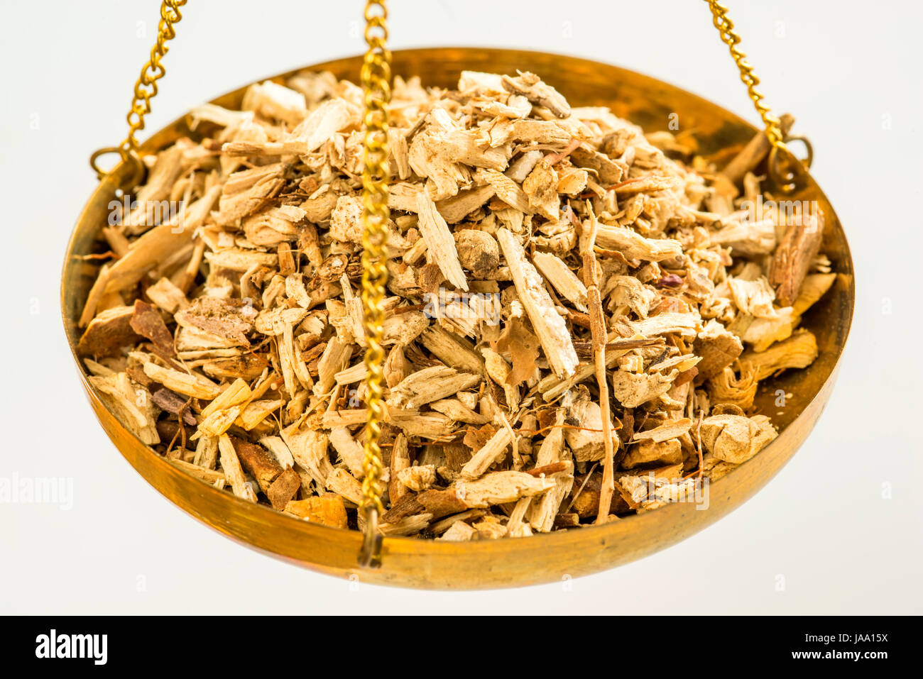 Hydrangea root hi-res stock photography and images - Alamy