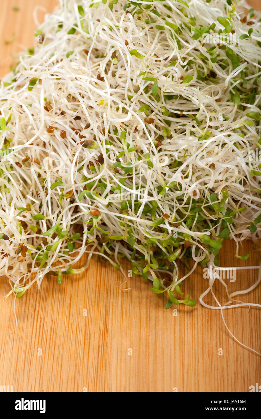 food, aliment, closeup, agriculture, farming, grain, vegetarian ...