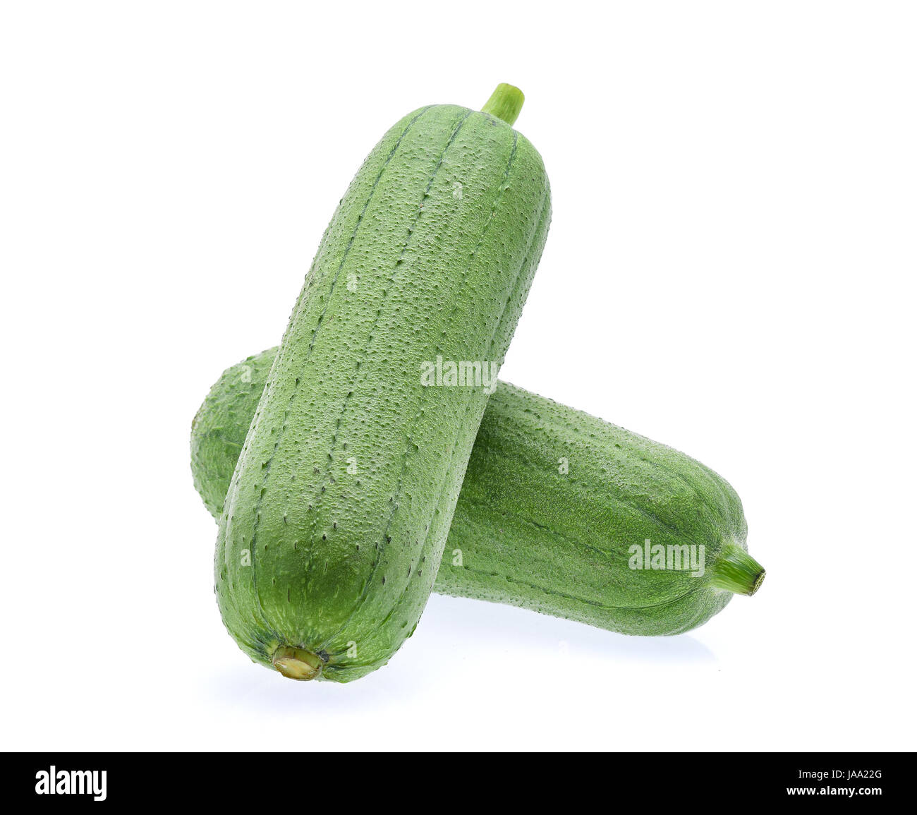 Sponge gourd isolated on white background Stock Photo - Alamy