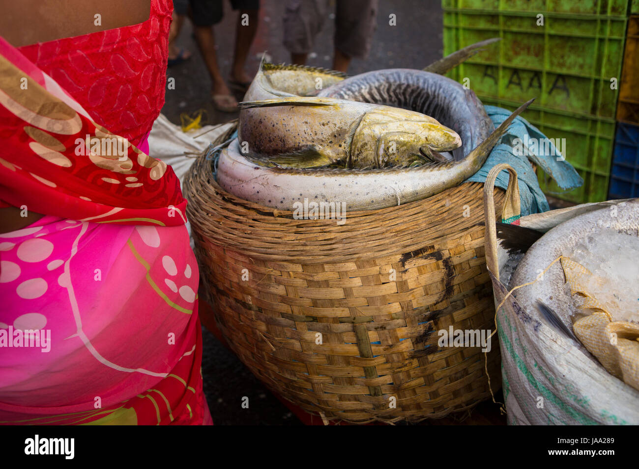 Sassoon mumbai hi-res stock photography and images - Alamy