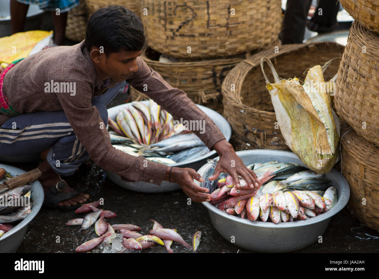 A fisherman sorts through his fish at Sassoon Docks, Mumbai, India ...