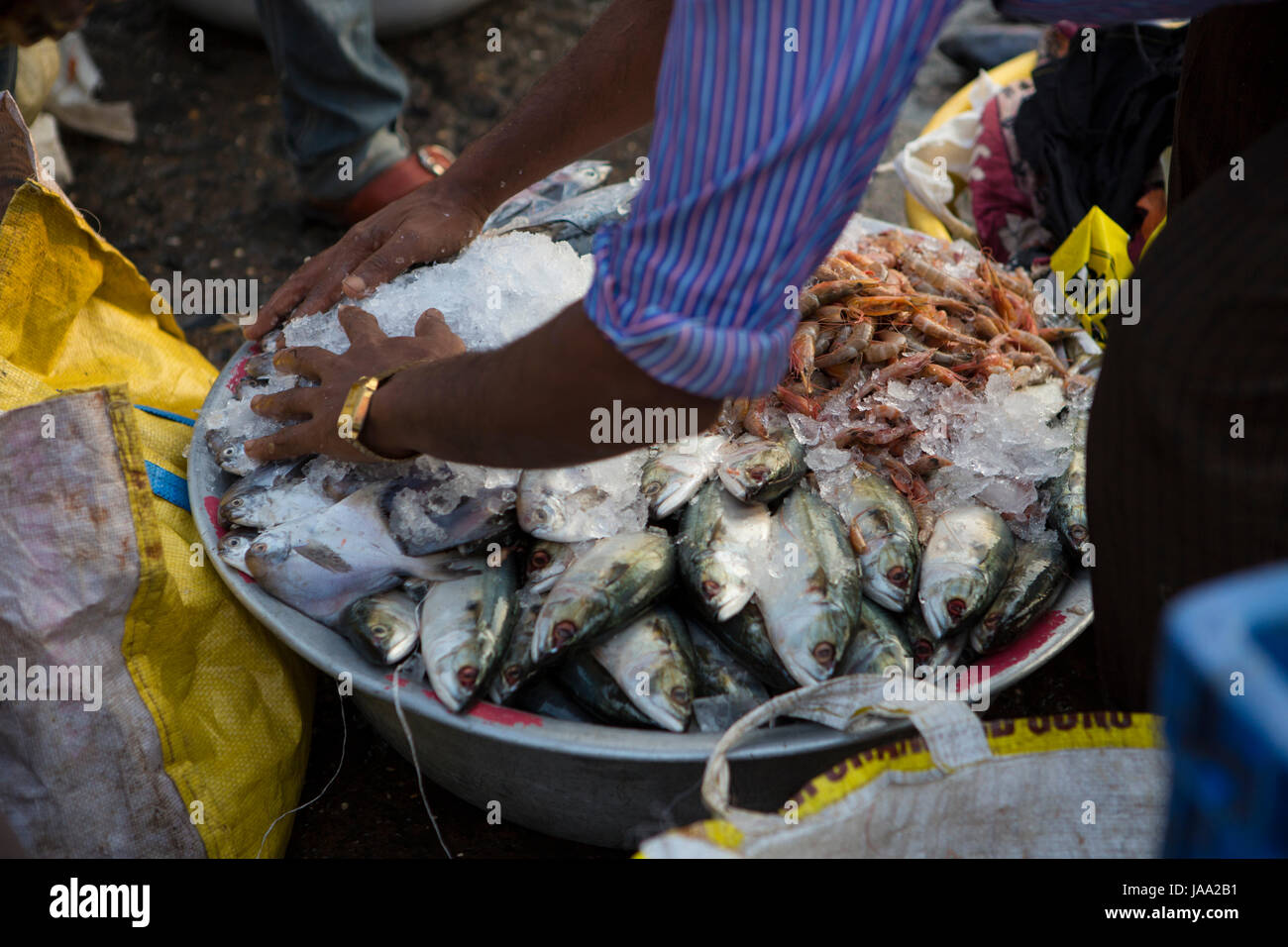 Mumbai fish market hi-res stock photography and images - Alamy