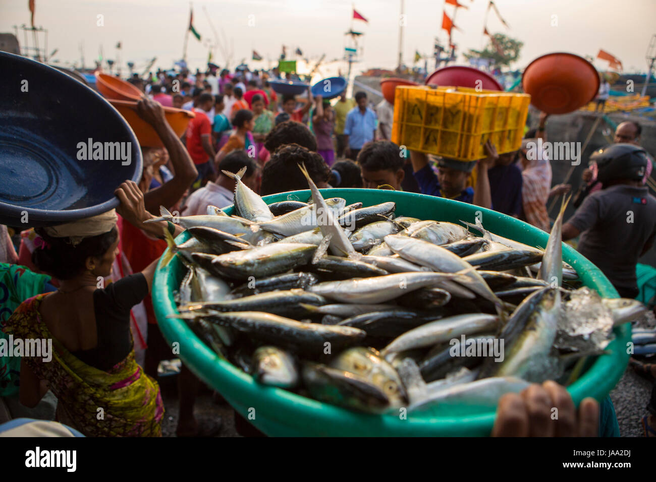 Women carrying fresh fish in bowls on their heads, Sassoon fish market ...