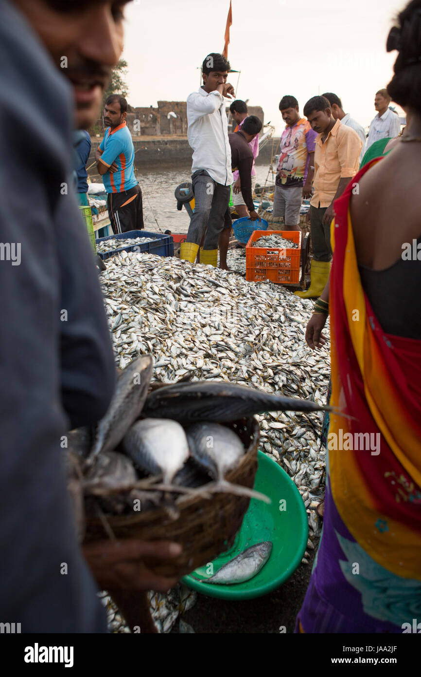 Fishermen and women buying and selling fresh fish at Sassoon fish ...