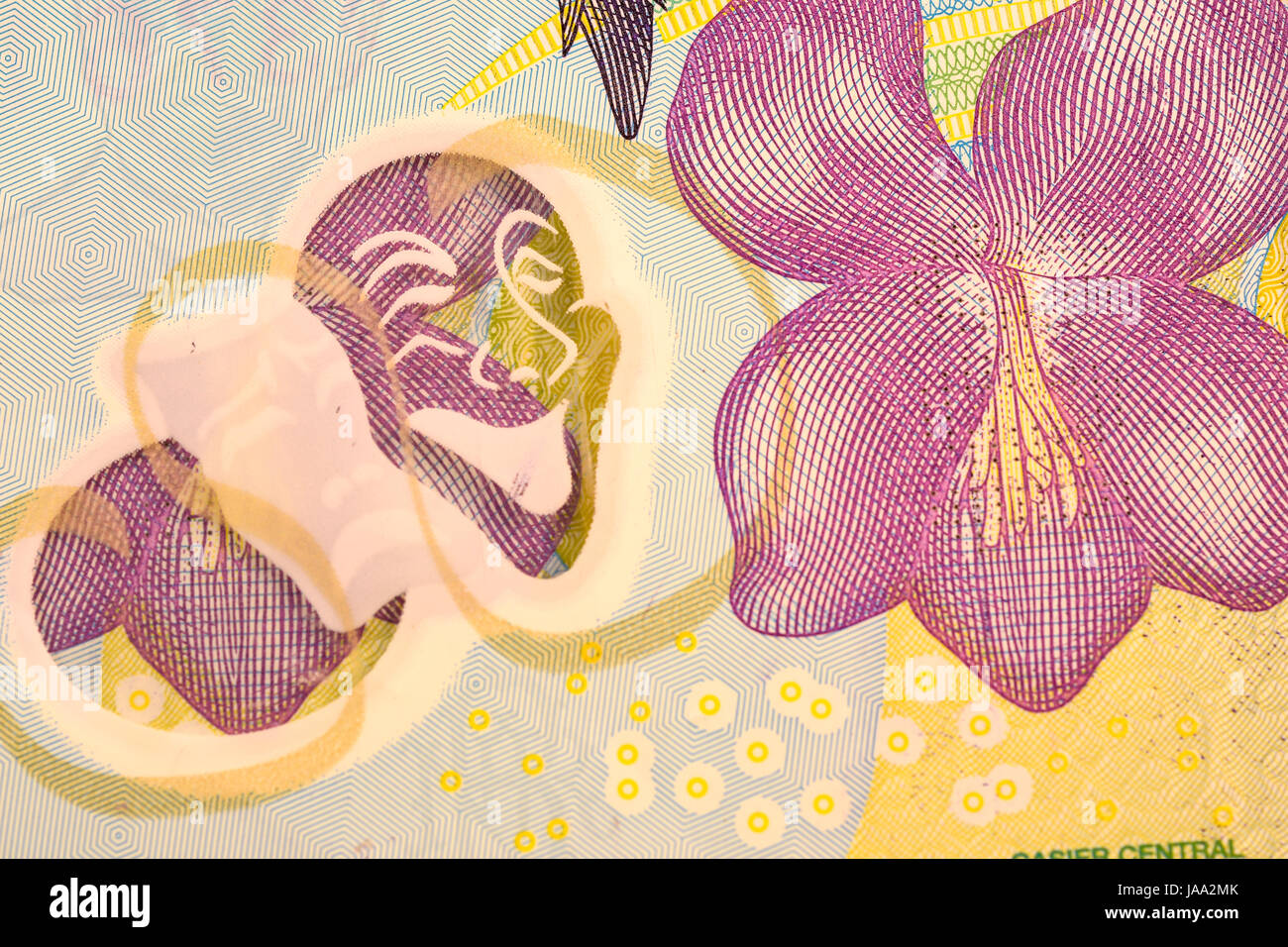 Close up Romanian currency note, banknotes, LEI or LEU, Romania Stock ...