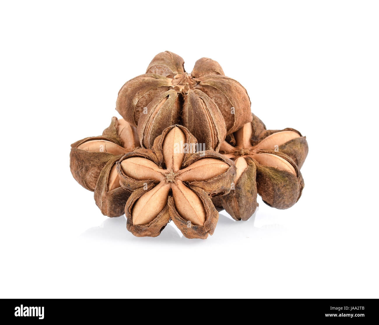 Inchi nuts hi-res stock photography and images - Alamy