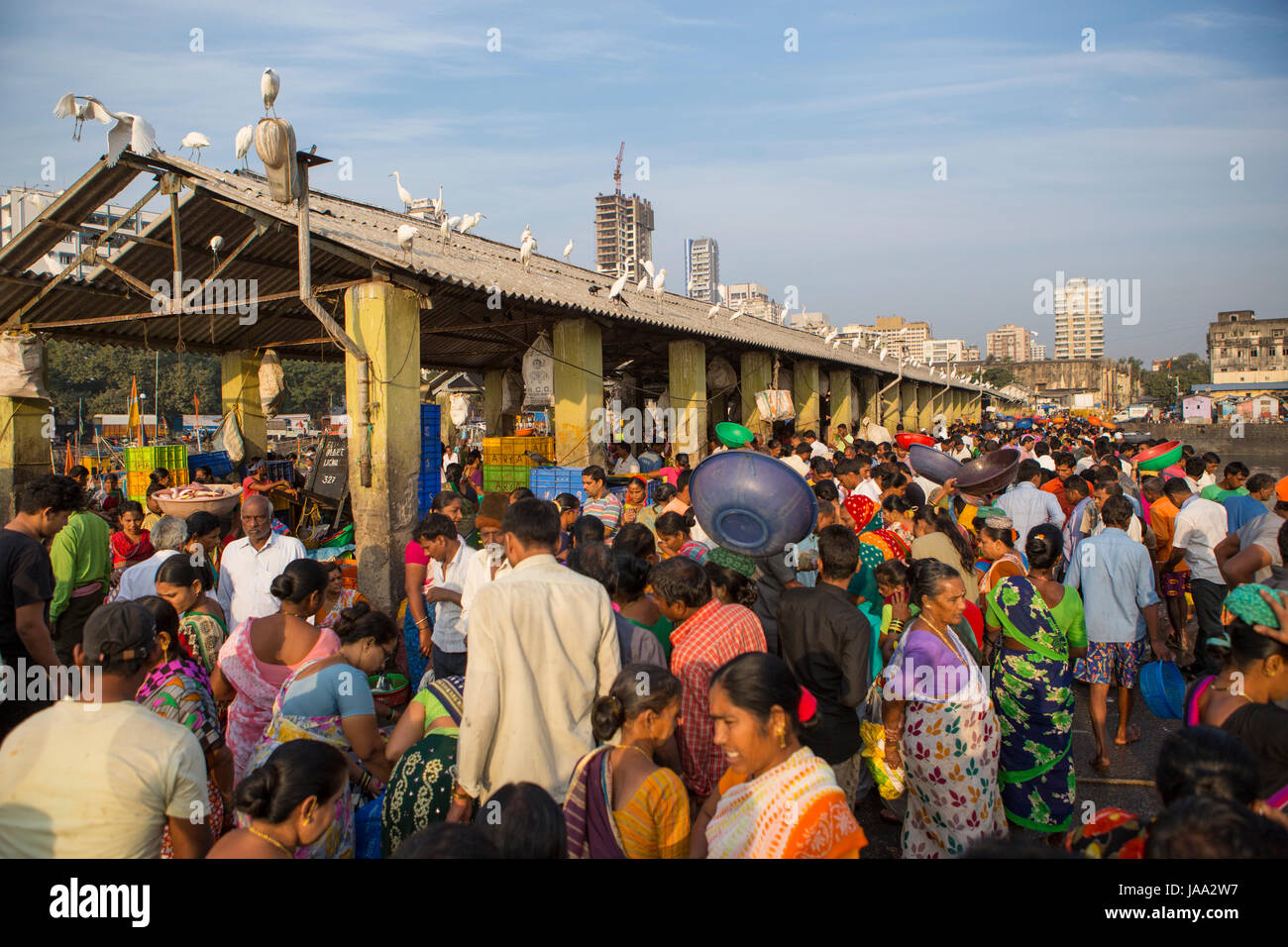Fishing market at Sassoon docks, India Stock Photo - Alamy