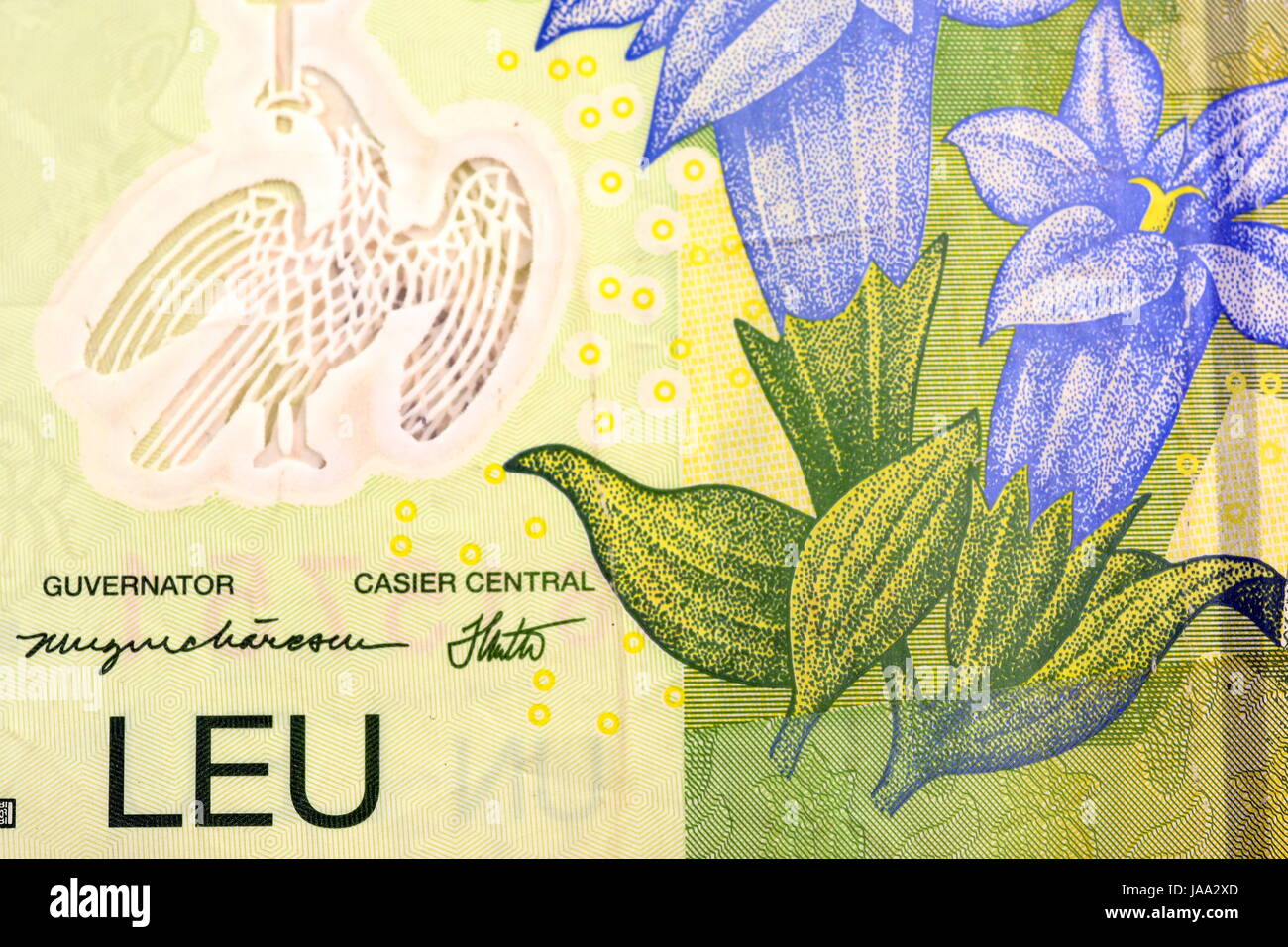 Close up Romanian currency note, banknotes, LEI or LEU, Romania Stock ...