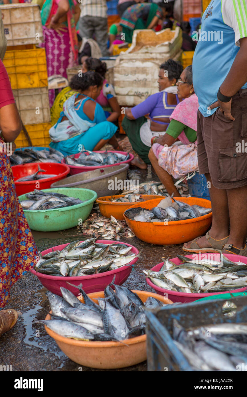 Fishermen and women buy and sell fish from a colourful tubs on the ...