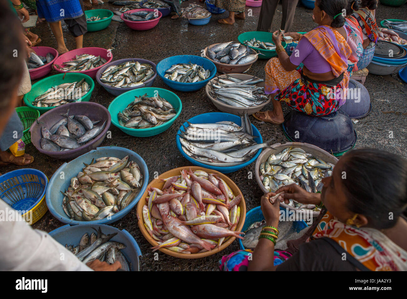 Fishermen and women buy and sell fish from a colourful tubs on the ...