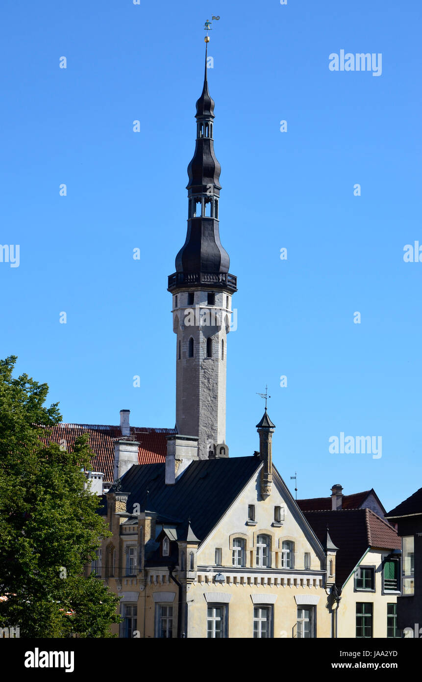 tower, old town, town hall, capital, facade, estonia, blue, house ...