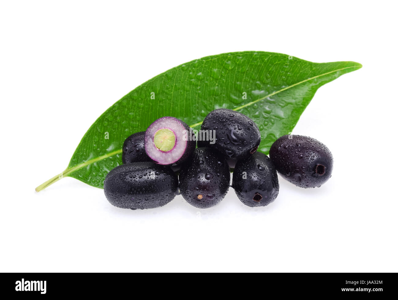 Jamun plant hi-res stock photography and images - Alamy