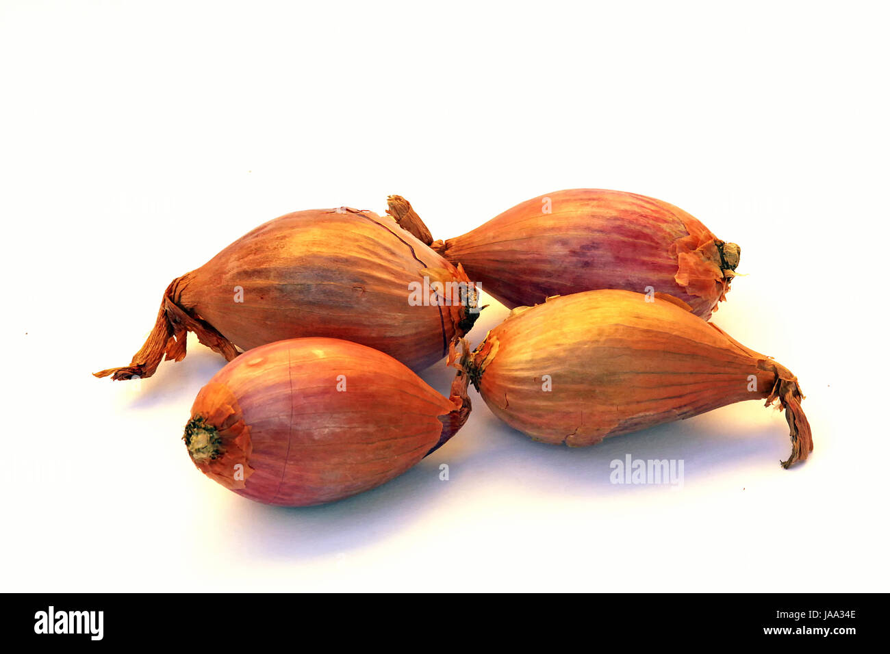 Lauchgewchs hi-res stock photography and images - Alamy
