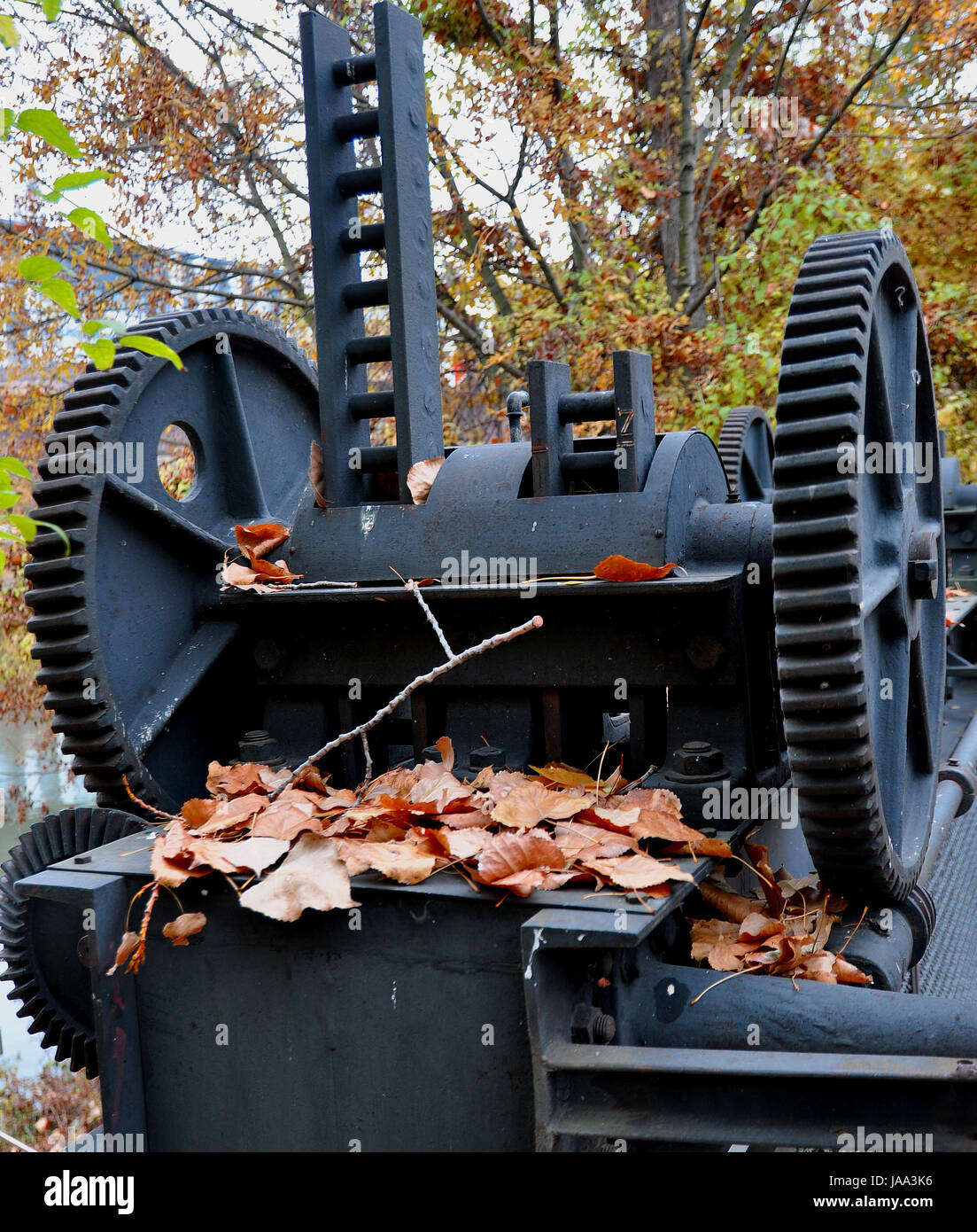 leaves, metal, gear wheels, cast iron, weir, tooth rack, fall, autumn ...