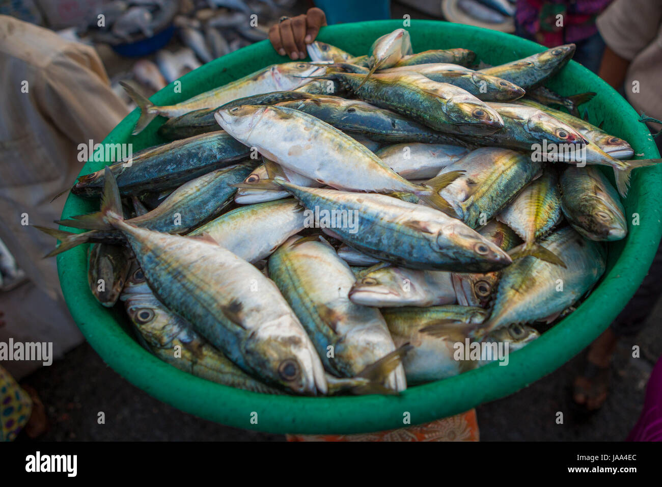 A woman carrying a bowl of fresh fish in a bowl on her head, Sassoon ...