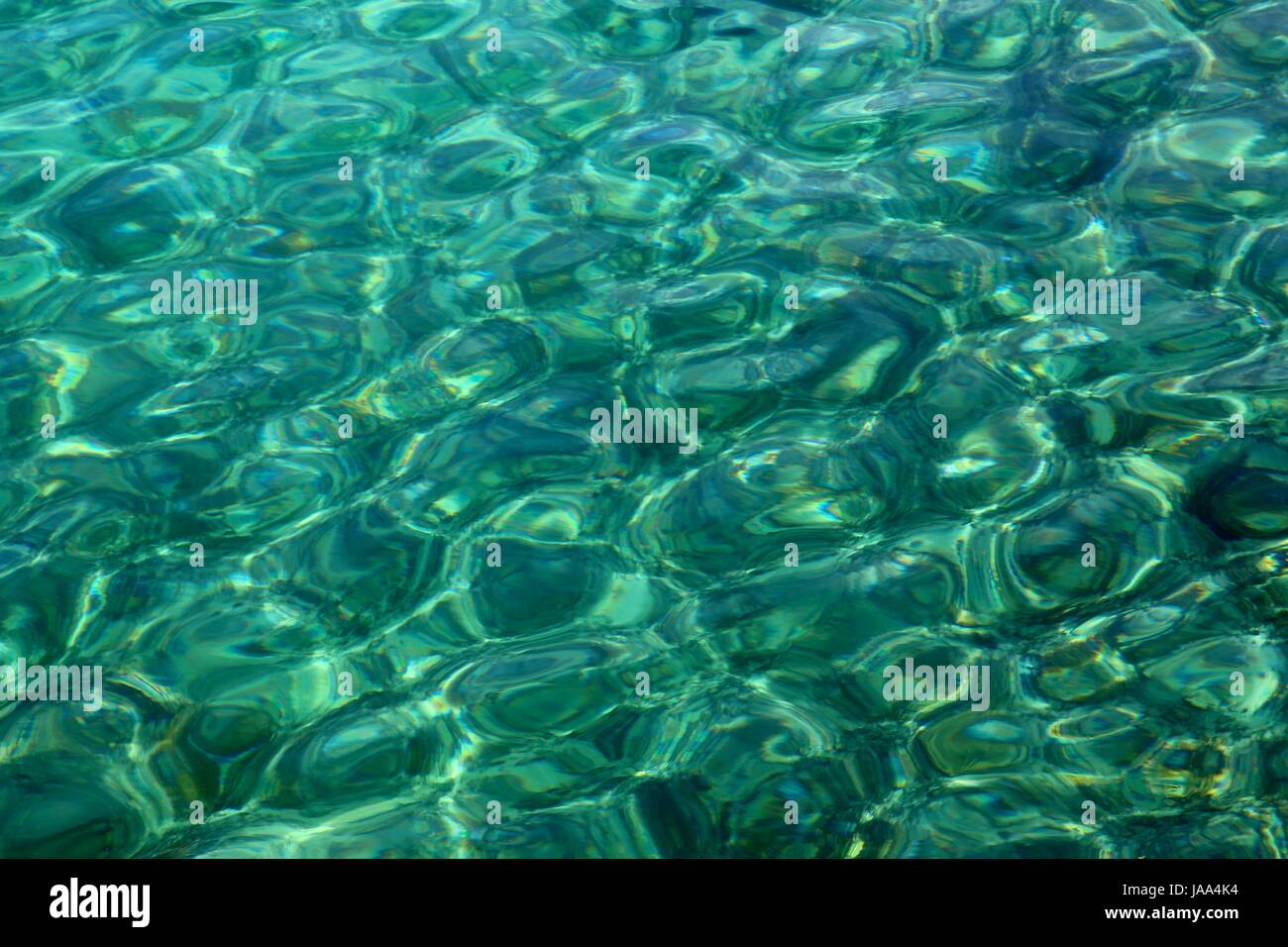 surface, salt water, sea, ocean, water, backdrop, background, green ...