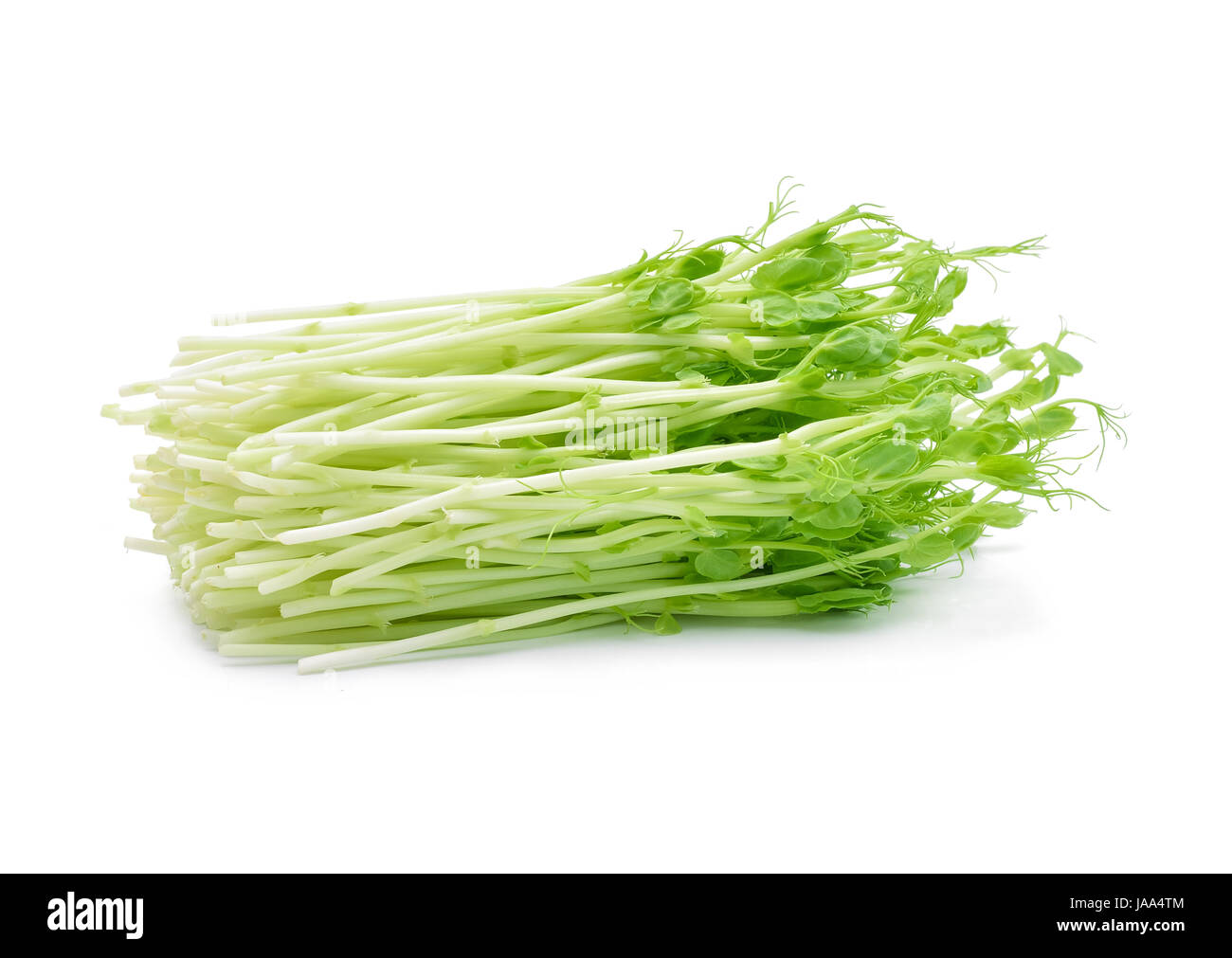 Snow pea sprouts on white background Stock Photo - Alamy