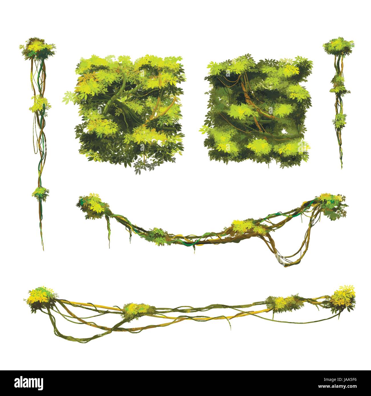 Vines trees Cut Out Stock Images & Pictures - Alamy