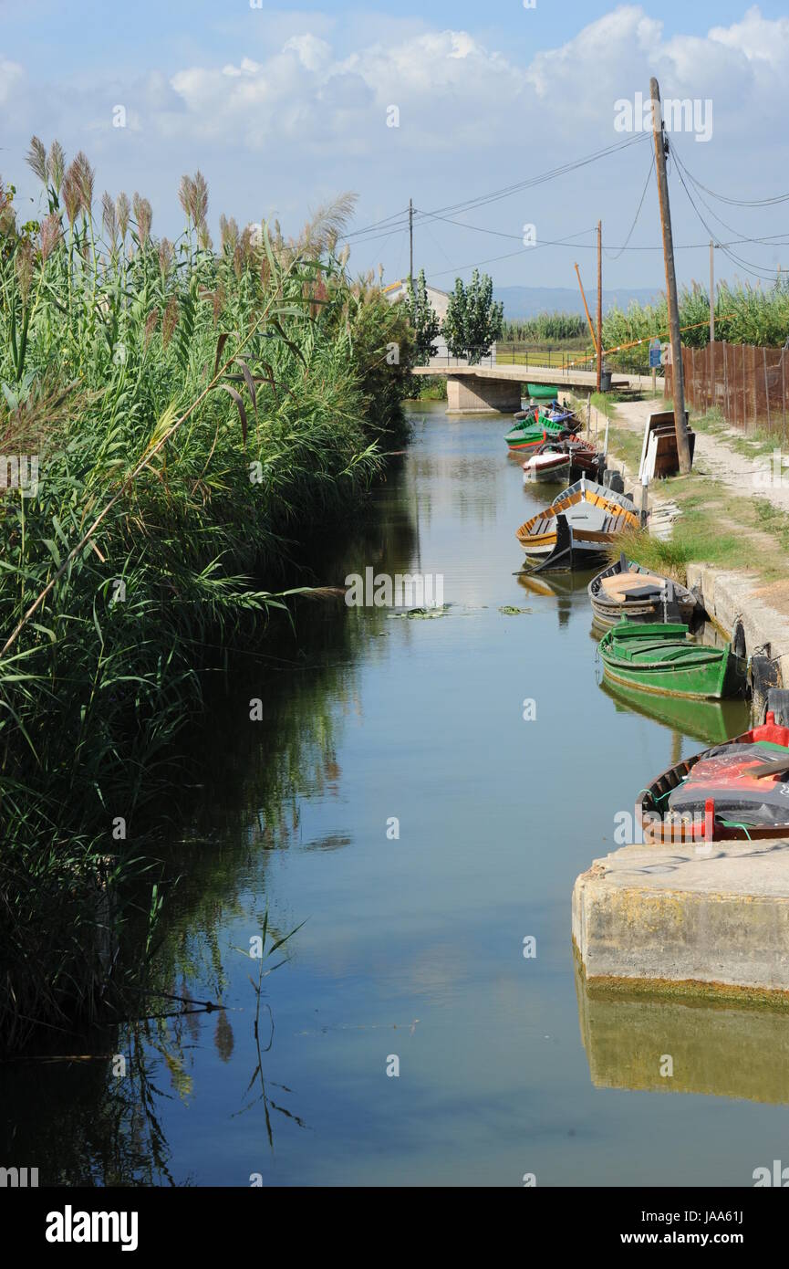 spain - valencia - albufera nature reserve Stock Photo - Alamy