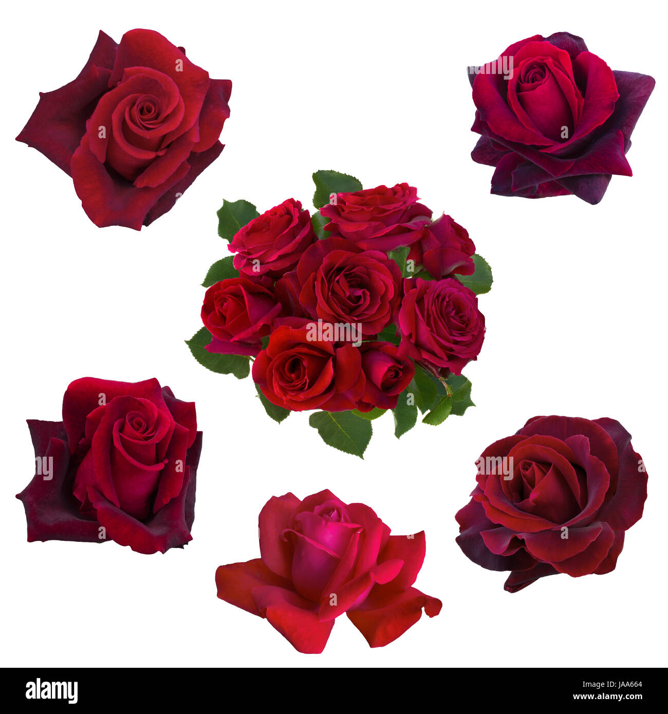 collage of red roses Stock Photo - Alamy