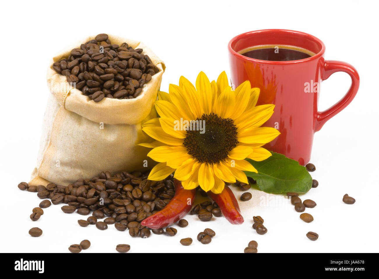 cup, still life, coffee, coffee bean, flower, sunflower, plant ...