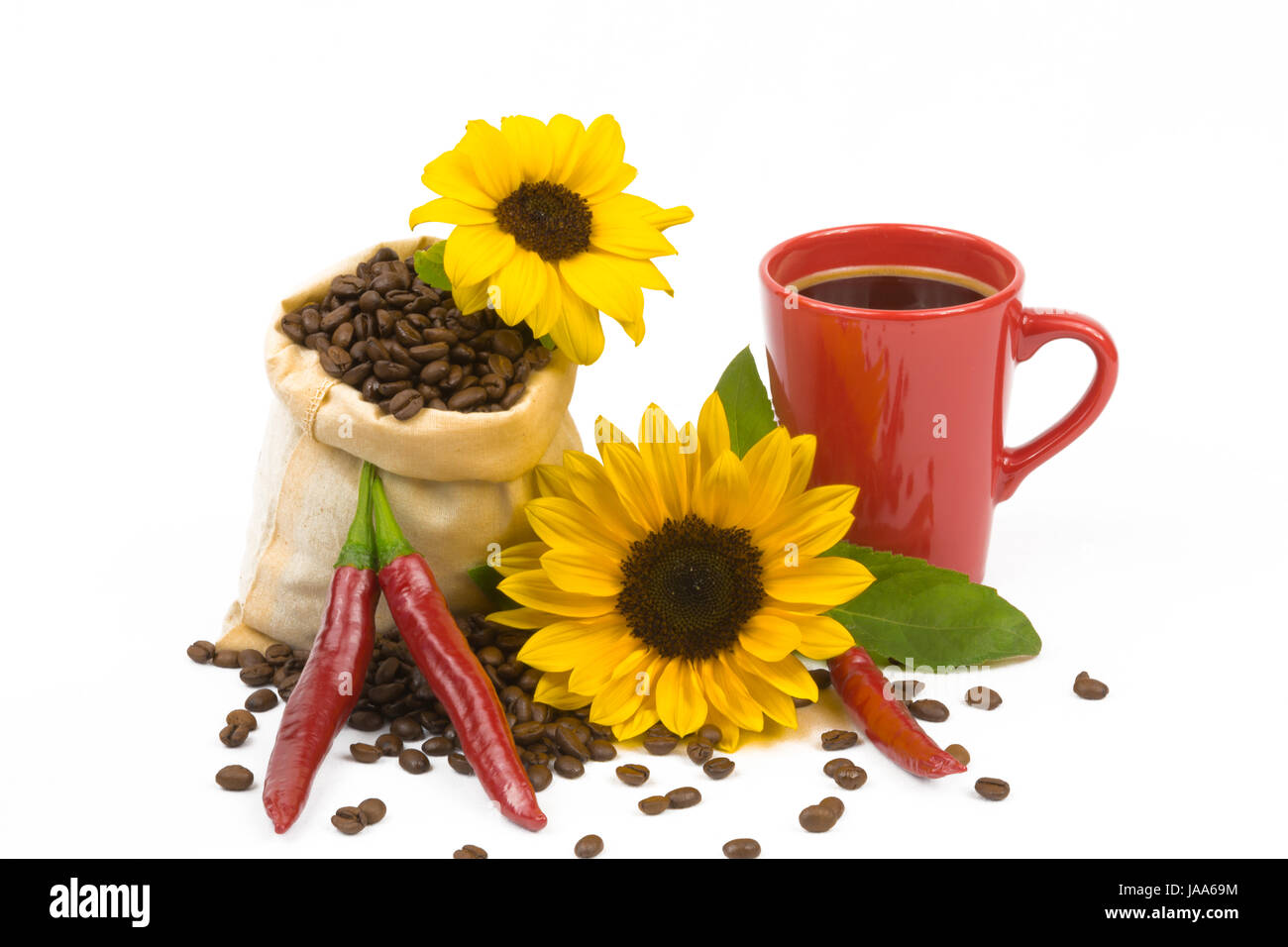 cup, still life, coffee, coffee bean, flower, sunflower, plant ...