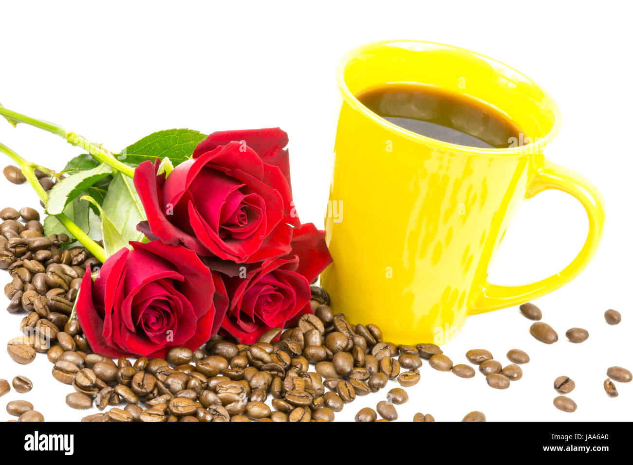 cup, still life, coffee, coffee bean, flower, rose, plant, roses ...