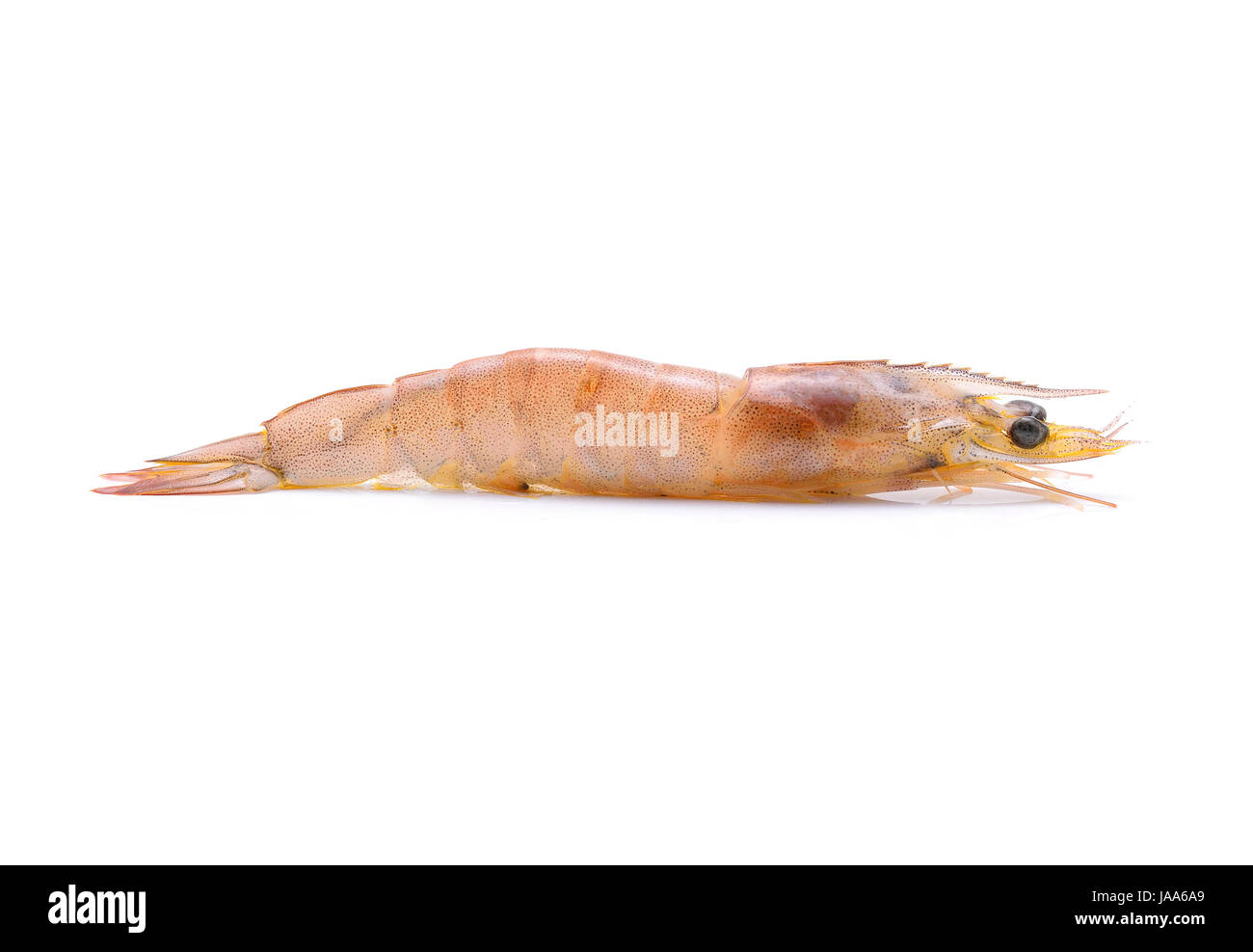 Black tiger prawns Cut Out Stock Images & Pictures - Alamy