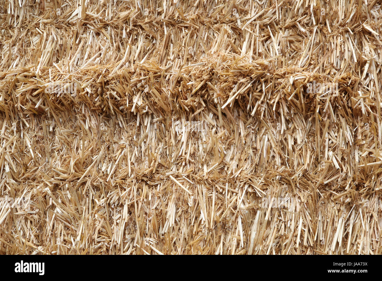 agriculture, farming, fields, straw ball, straw, thanksgiving, harvest ...