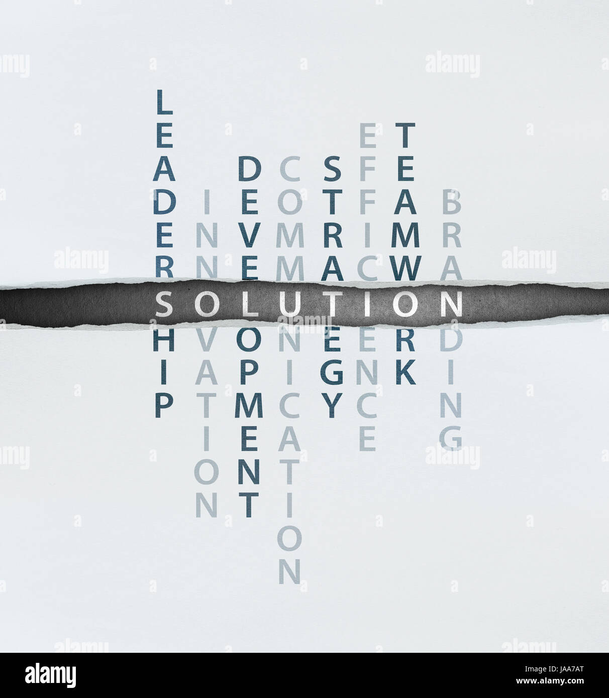 Solution Concept with leadership, innovation, development ...