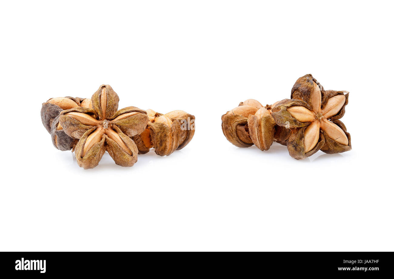 Nuts Incas , sacha inchi peanut seed on white background Stock Photo ...