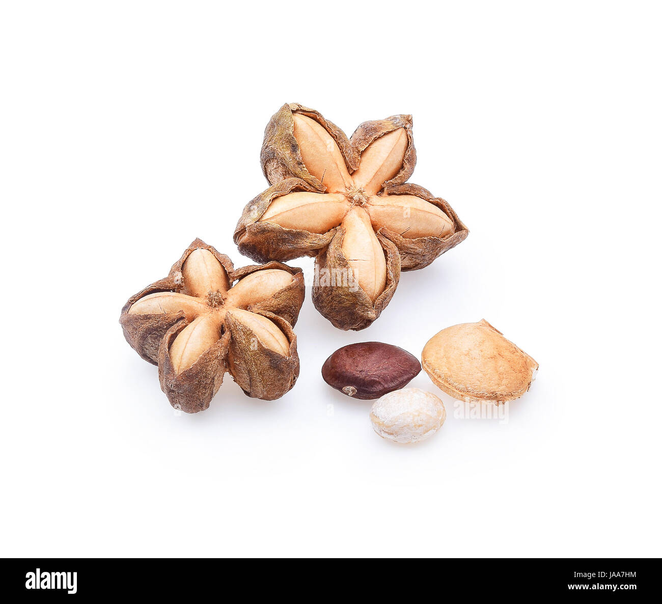 Nuts Incas , sacha inchi peanut seed on white background Stock Photo ...