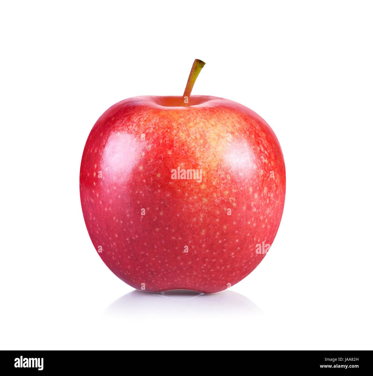 Gala apple on white background Stock Photo - Alamy
