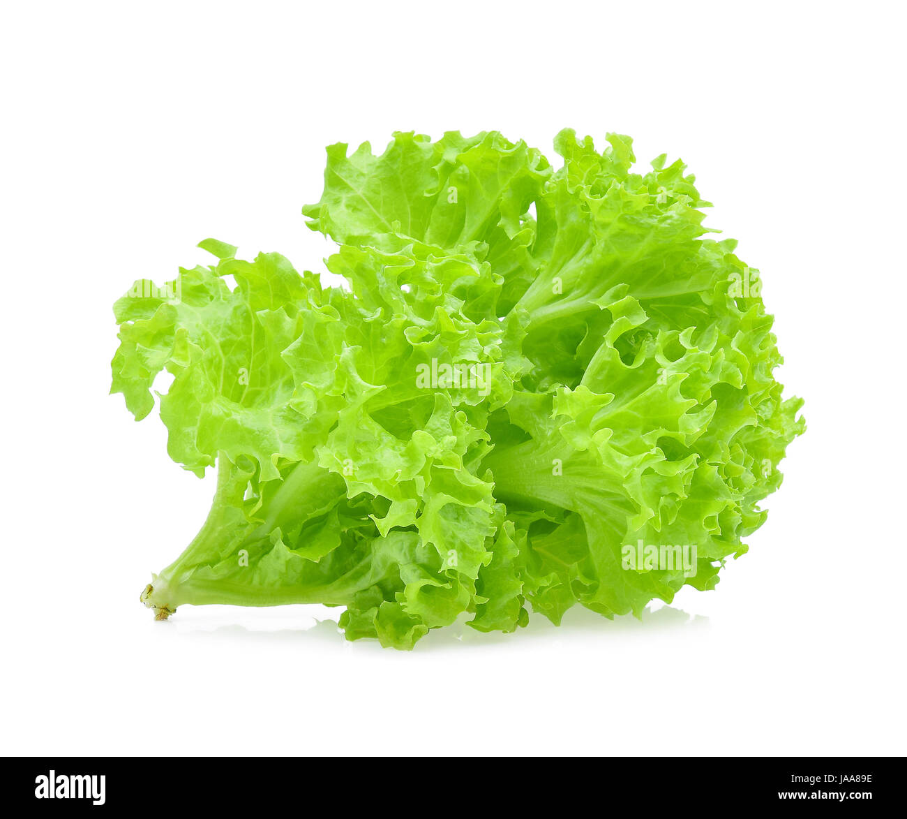 Green oak lettuce on white background Stock Photo - Alamy