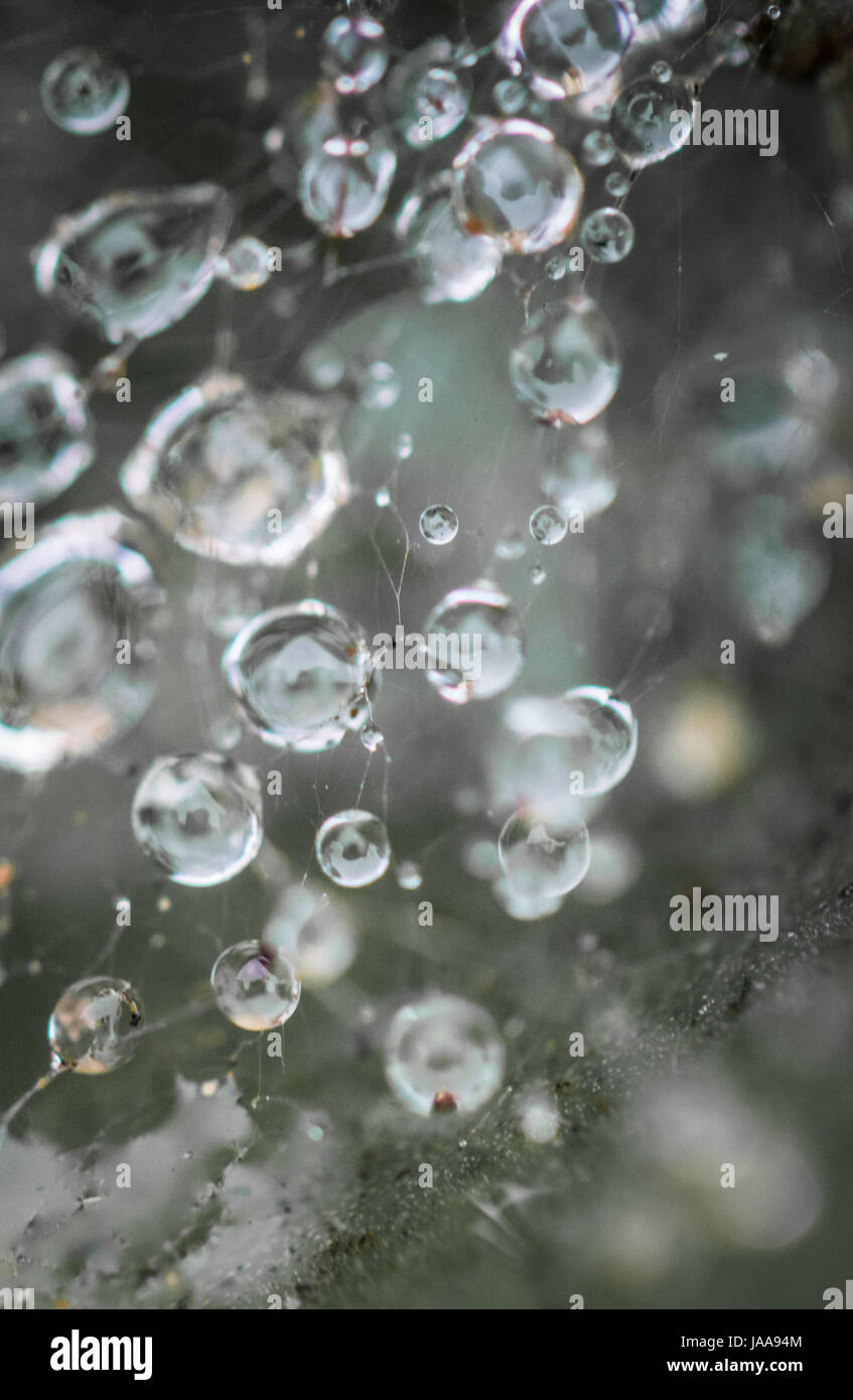 Catch drops hi-res stock photography and images - Alamy