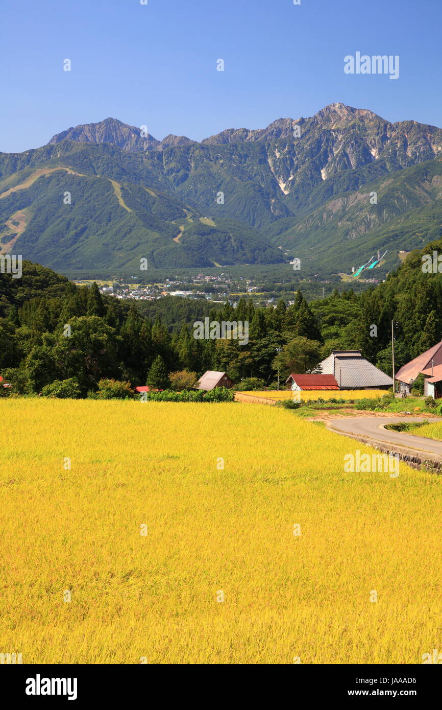 Japan farming village hi-res stock photography and images - Alamy