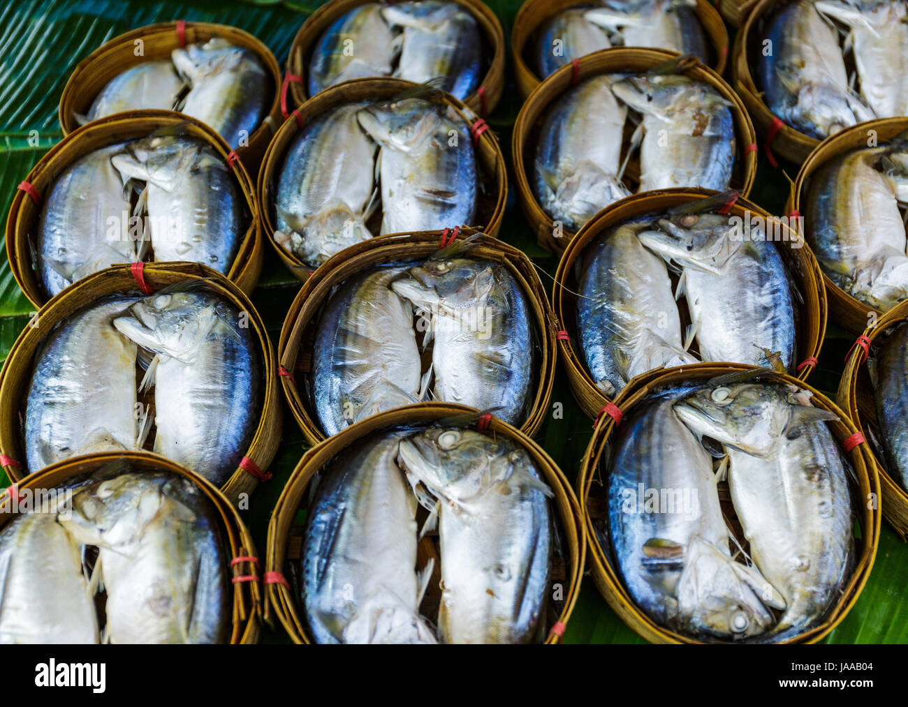 Fish in barrels for sell at market in Bangkok Stock Photo - Alamy