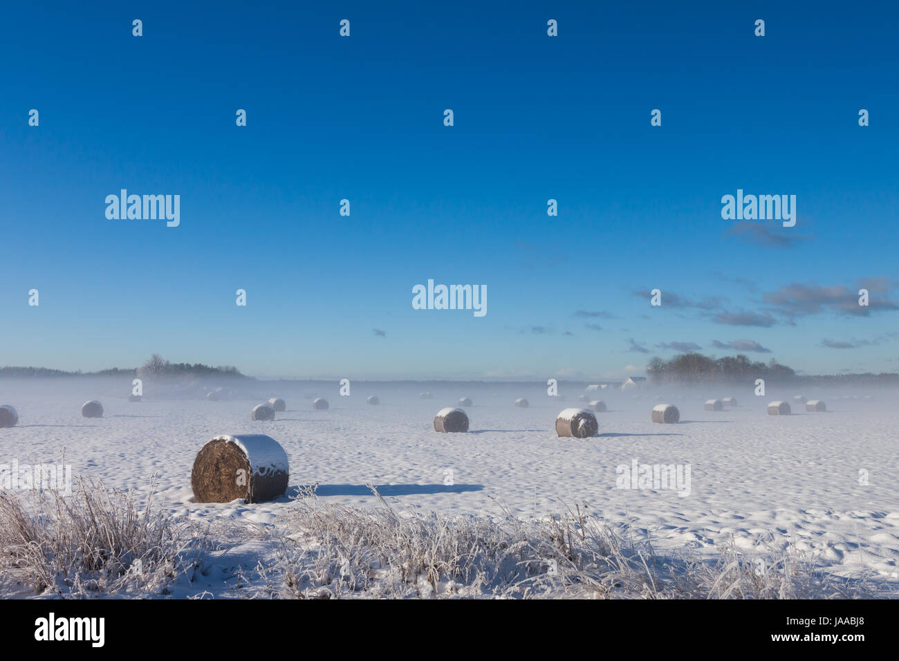 Straw Fodder Bales in Winter with fog on the horizon Stock Photo - Alamy