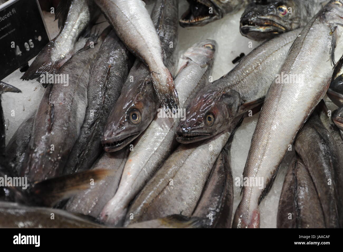 spain - fresh fish Stock Photo - Alamy