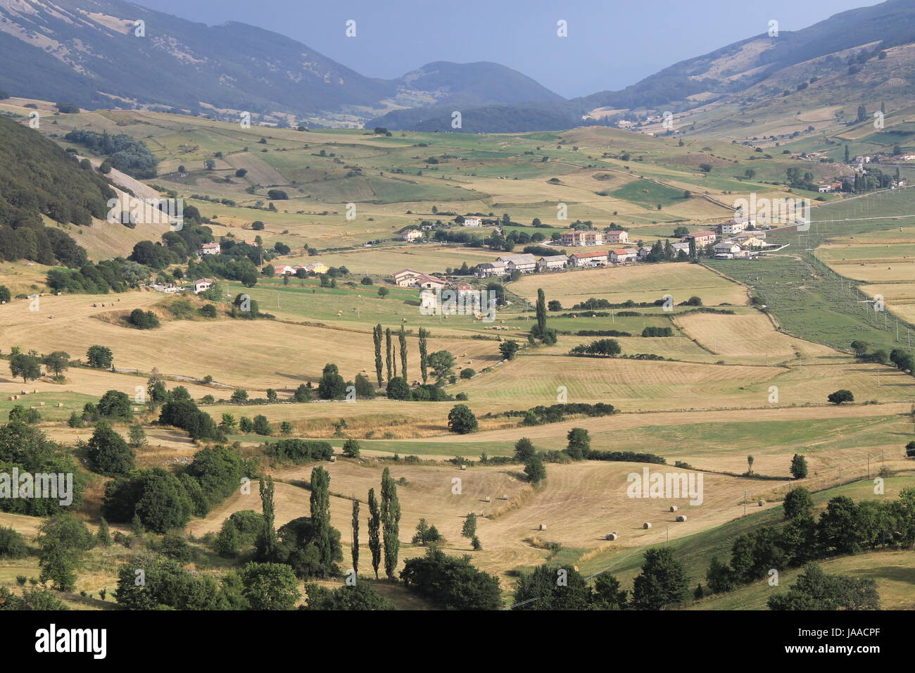 wood, agriculture, farming, field, farm, plateau, biodiversity ...