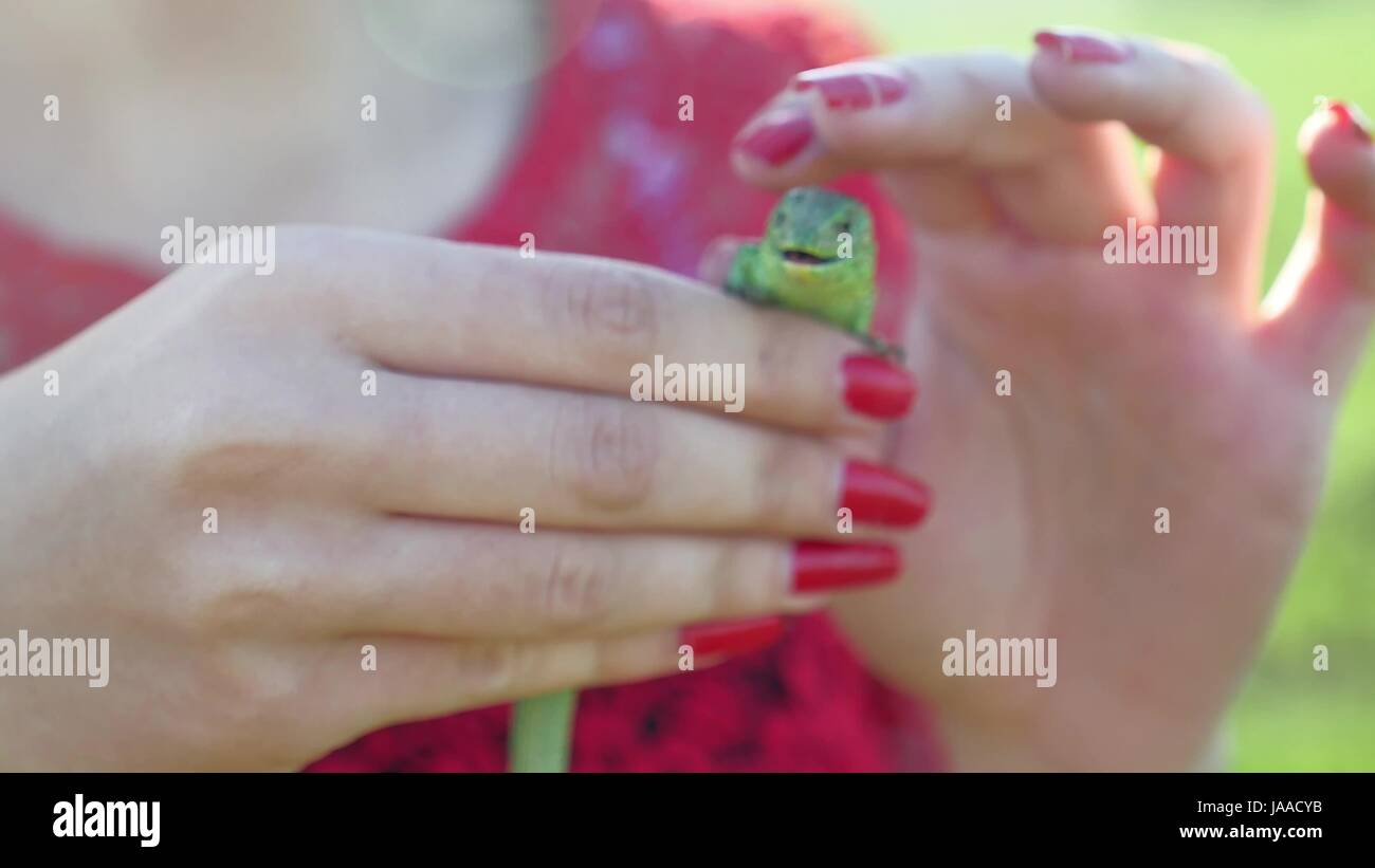 The girl is holding lizard. Girl in nature holds a green lifestyle ...