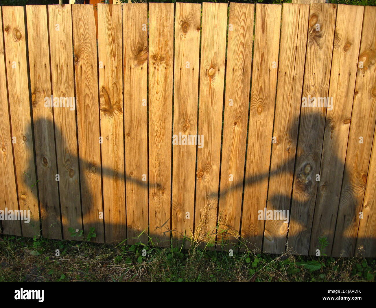 friendship, embrace, amicable, boy, lad, male youngster, shaddow ...