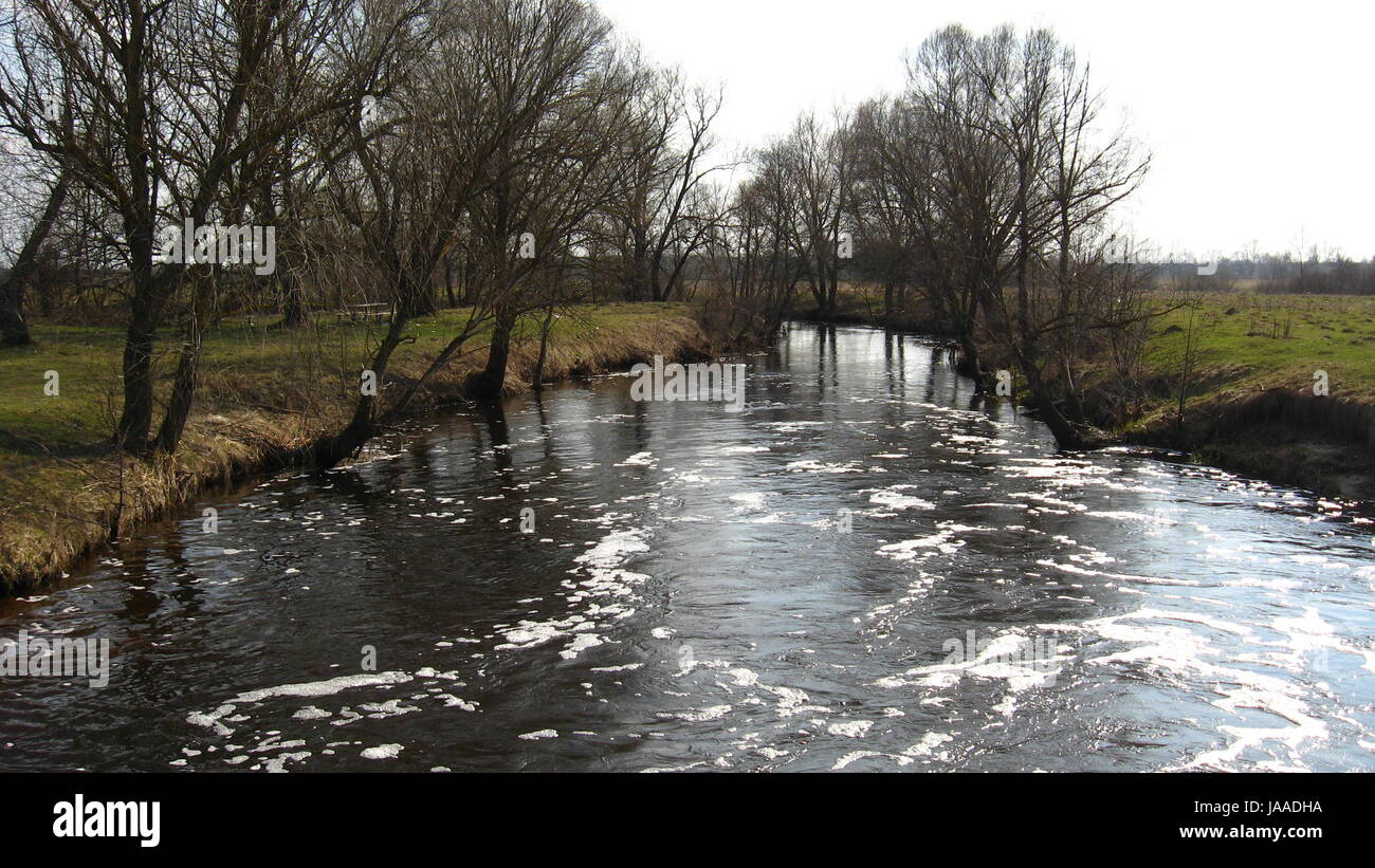 spring, bouncing, bounces, hop, skipping, frisks, jumping, jump, flood ...