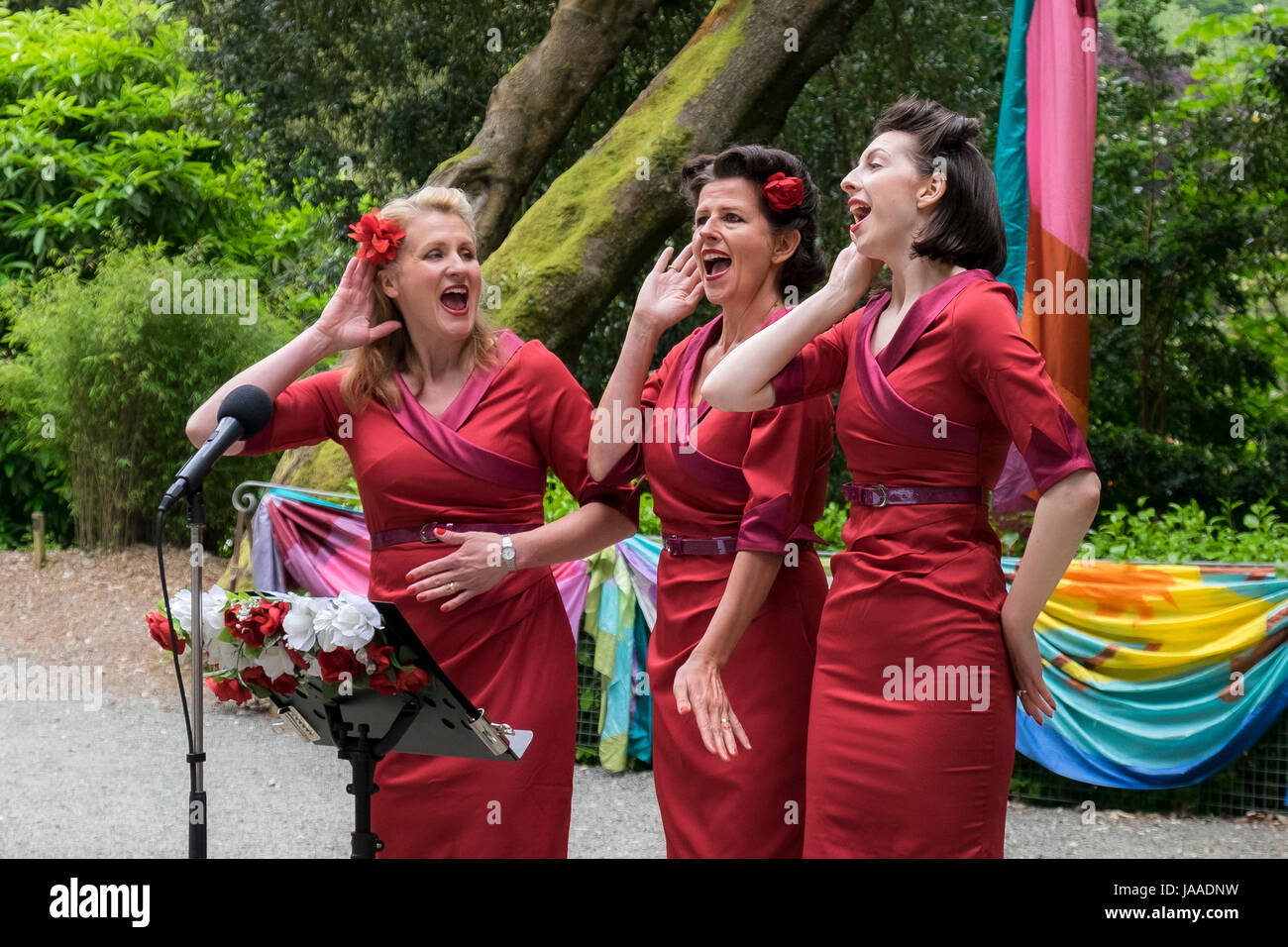 Cana singing at Trebah Garden amphitheatre in Cornwall Stock Photo - Alamy
