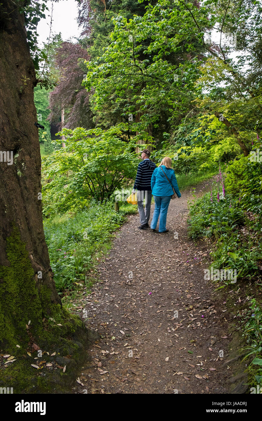 Visitors enjoying a stroll along a path in Trebah Gardens, Cornwall ...